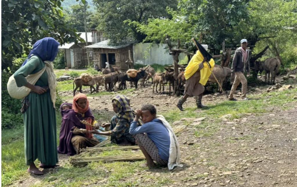 News of the Ethiopian civil war: The Fano armed group seizes territory ...